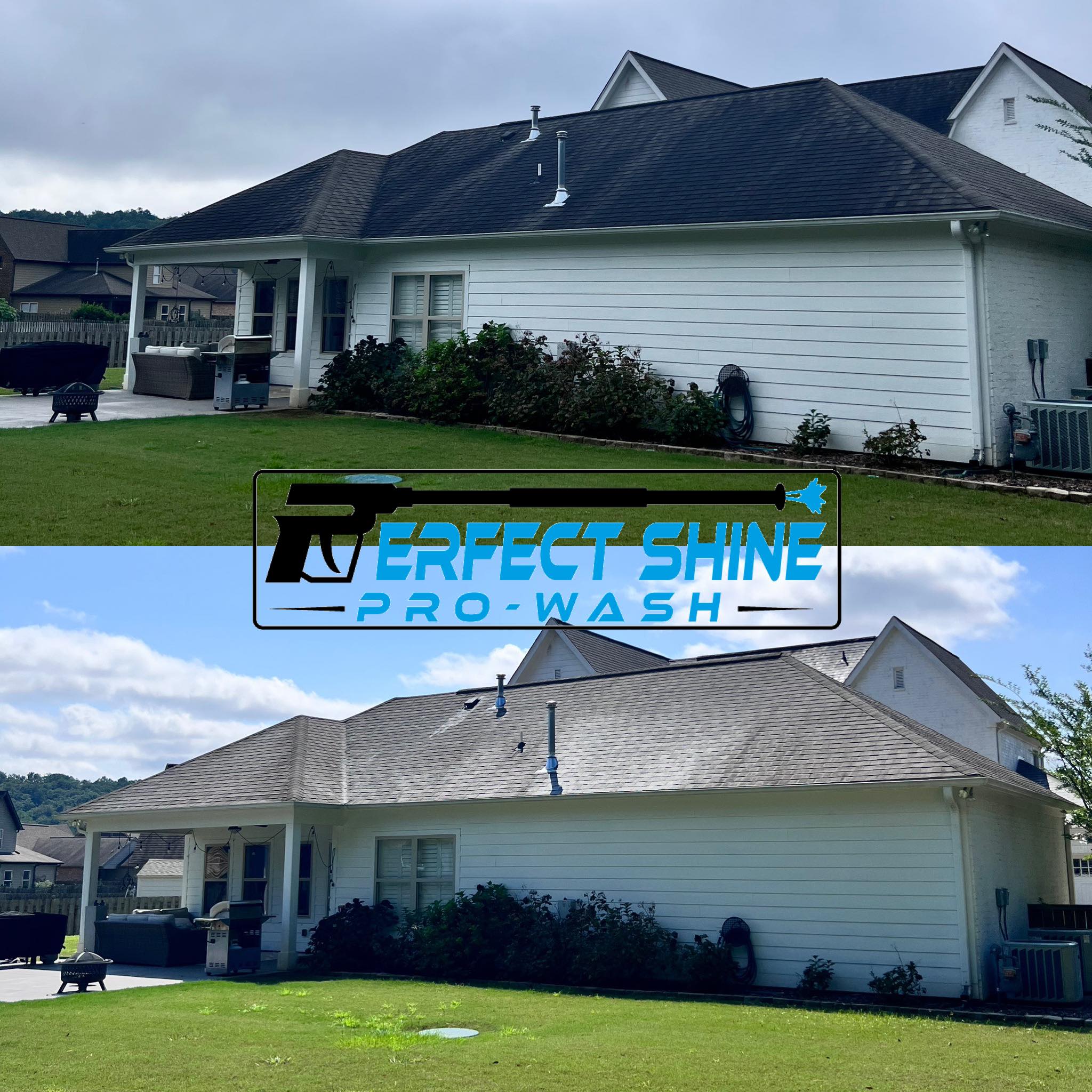 Perfect Shine Pro-Wash