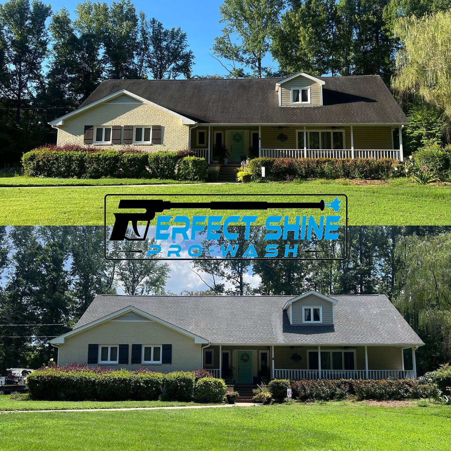 Perfect Shine Pro-Wash