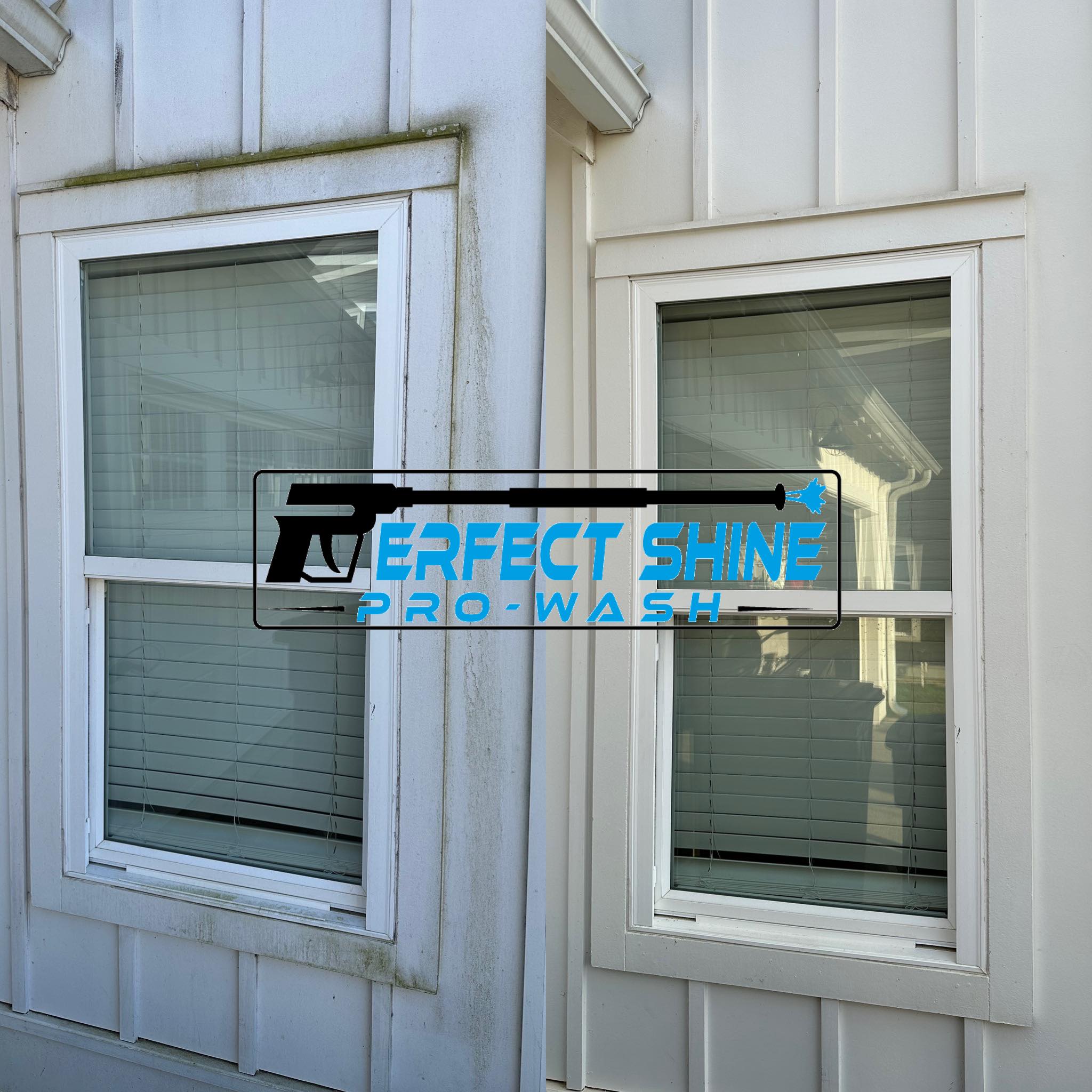 Perfect Shine Pro-Wash